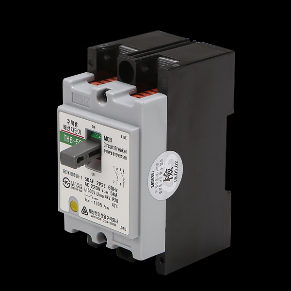 배선차단기 주택용 TB 52D(THB 52) 2P D32(A) 5KA - 온채널